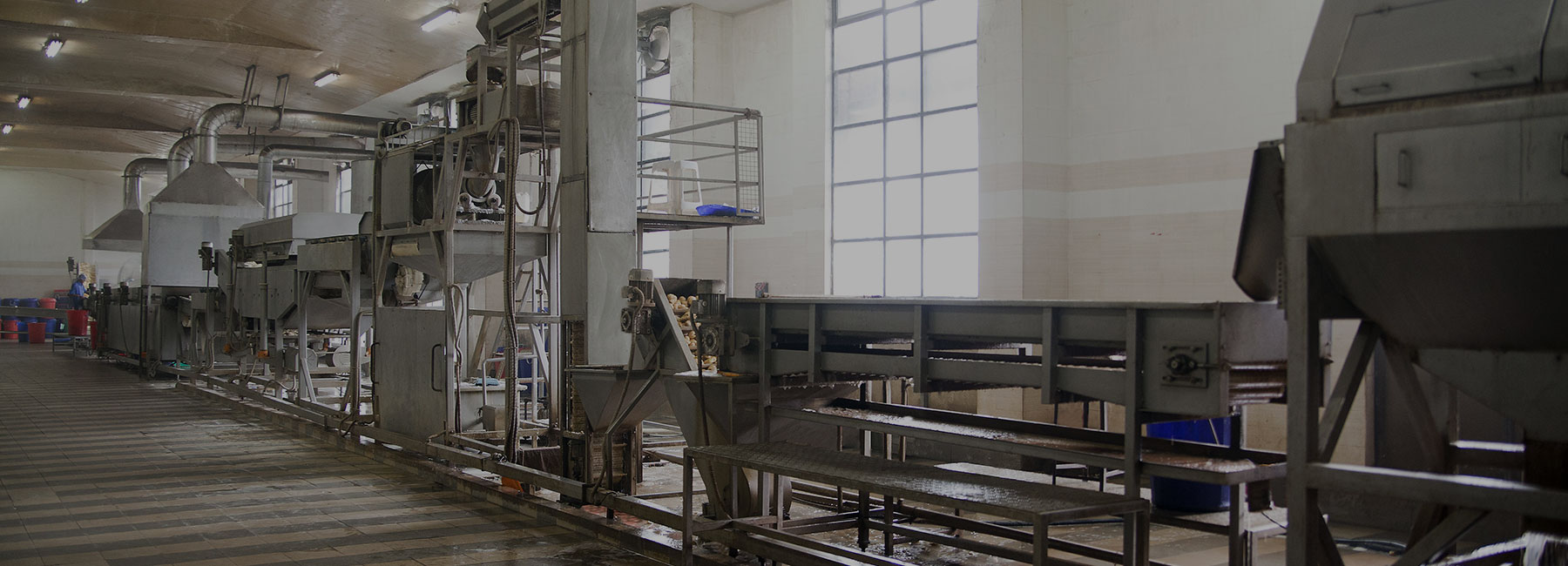 Flavorites Top Class, Cost Effective Food Engineering Solutions